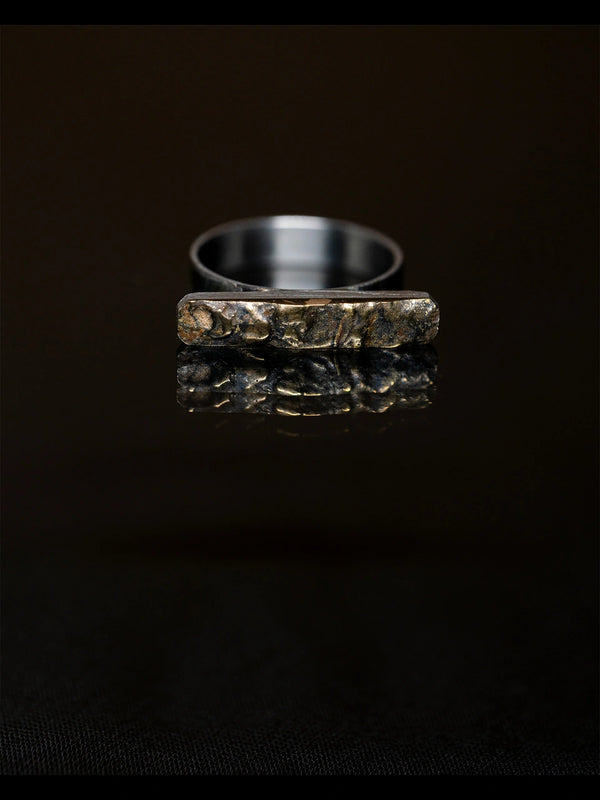 Alexander Stark Ring #3 at e.c.t. studio